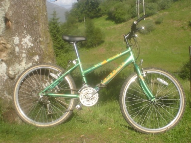 Raleigh max children's mountain bike - for sale